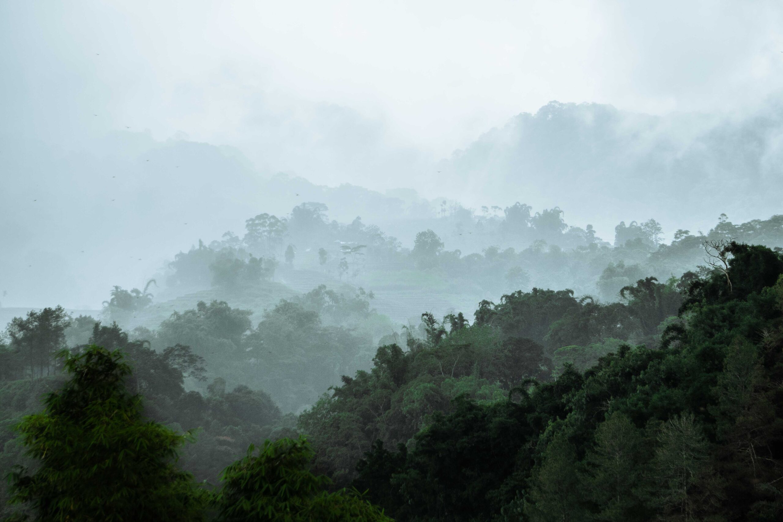 Top 10 Must-Visit Destinations in Sulawesi for Adventure Seekers ...